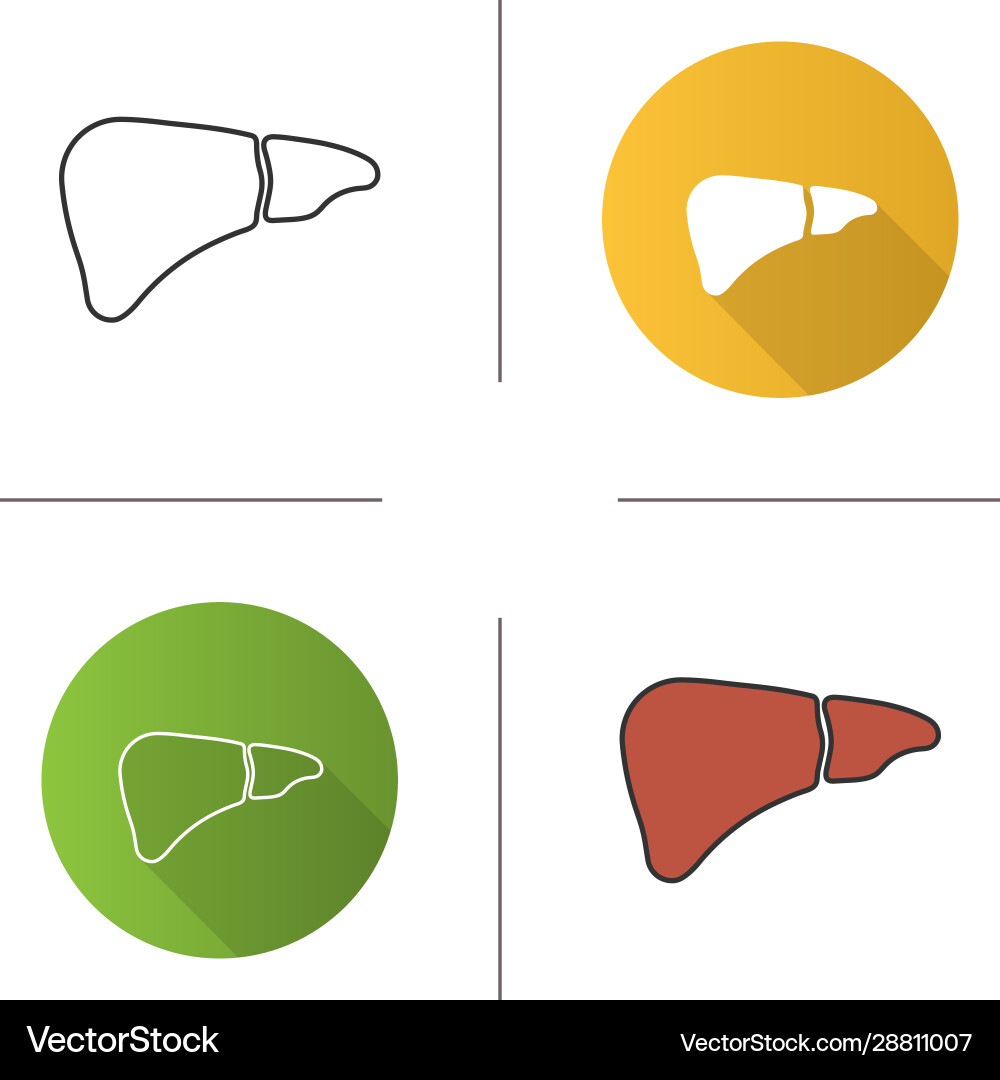 Liver icon Royalty Free Vector Image - VectorStock