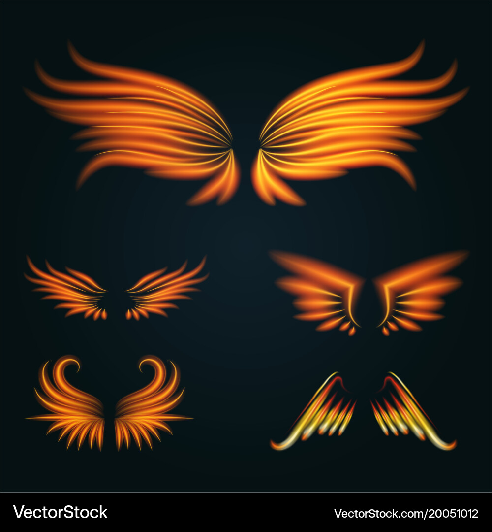 Bird fire wings fantasy feather burning fly Vector Image