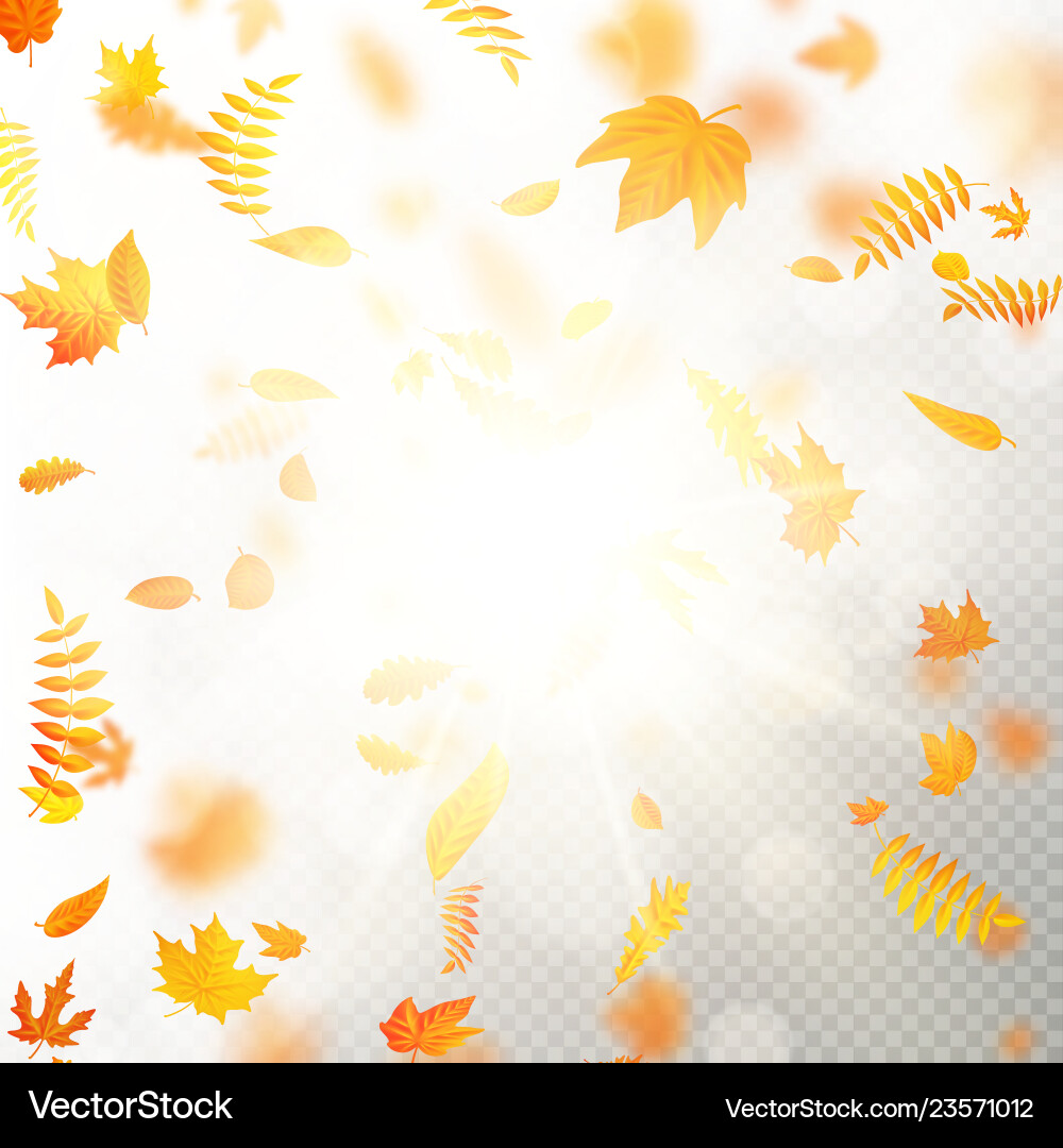 Effect of autumn falling leaves layer with shallow