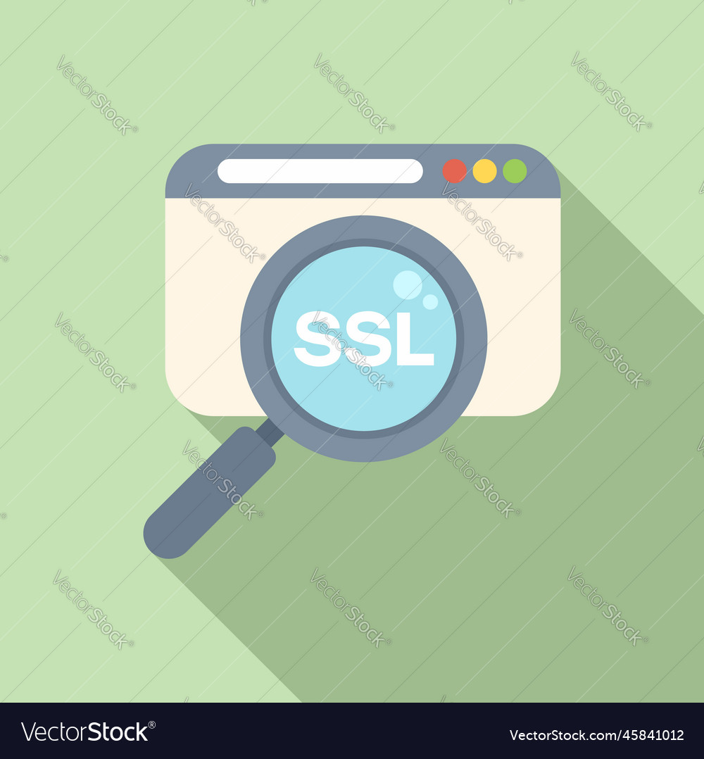 Search Ssl Certificate Icon Flat Network Vector Image