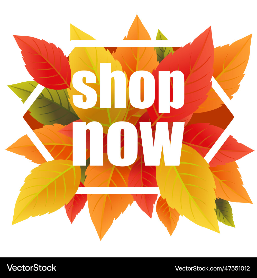 Shop now lettering in hexagon frame Royalty Free Vector