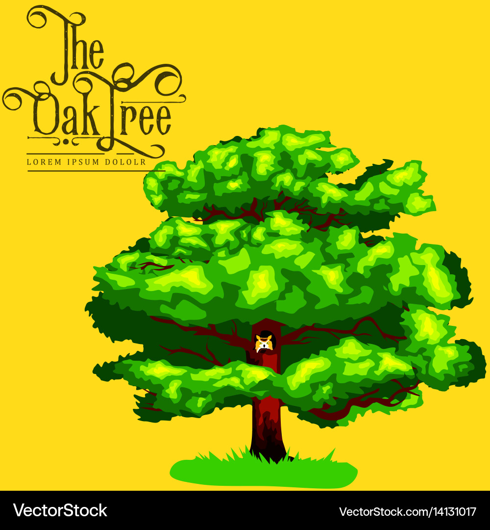 Cartoon isolated oak summer tree on background Vector Image