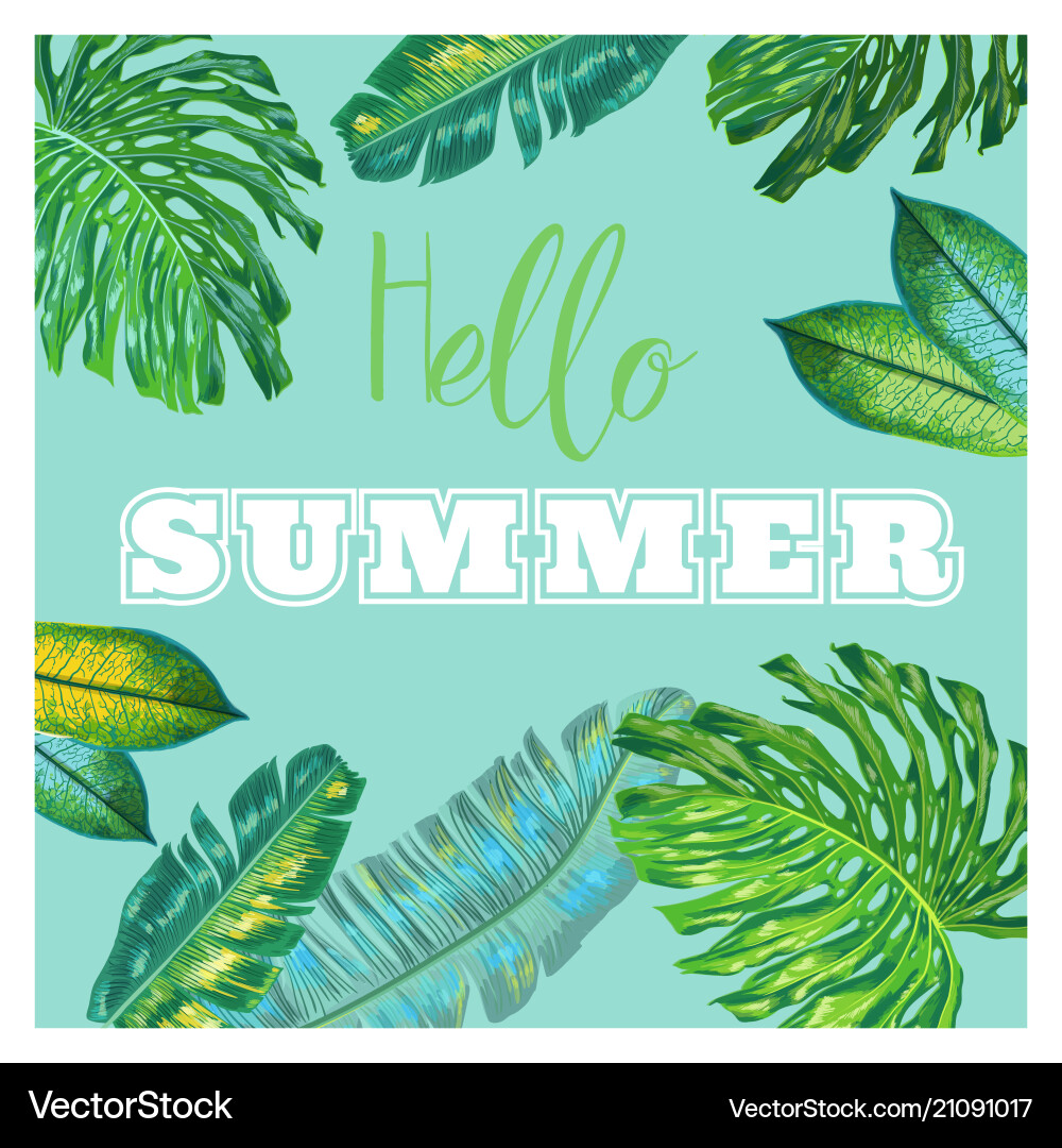 Hello summer tropical design with palm leaves Vector Image
