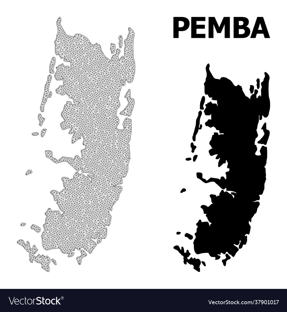 Polygonal Wire Frame Mesh High Detail Map Vector Image