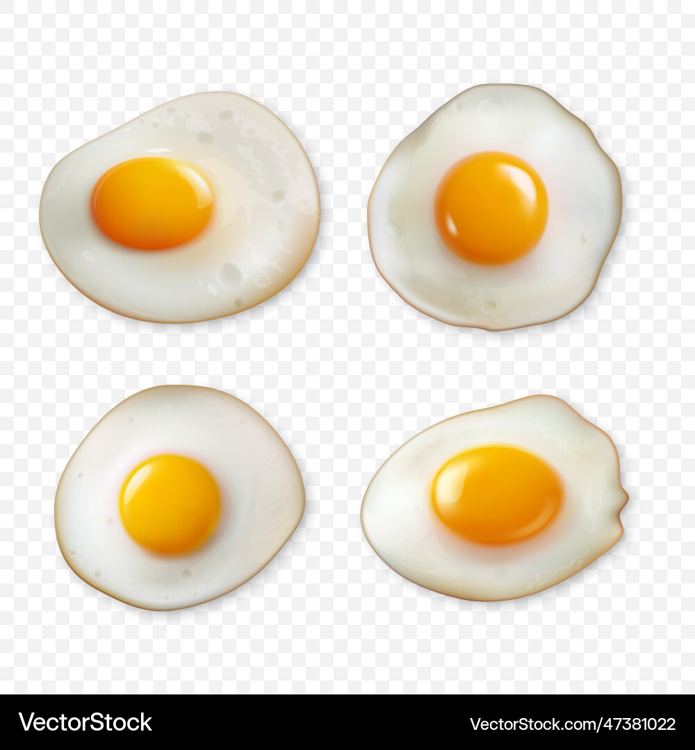 3d realistic eggs fried egg collection Royalty Free Vector