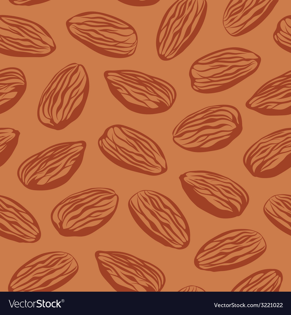 Almond seamless pattern Royalty Free Vector Image