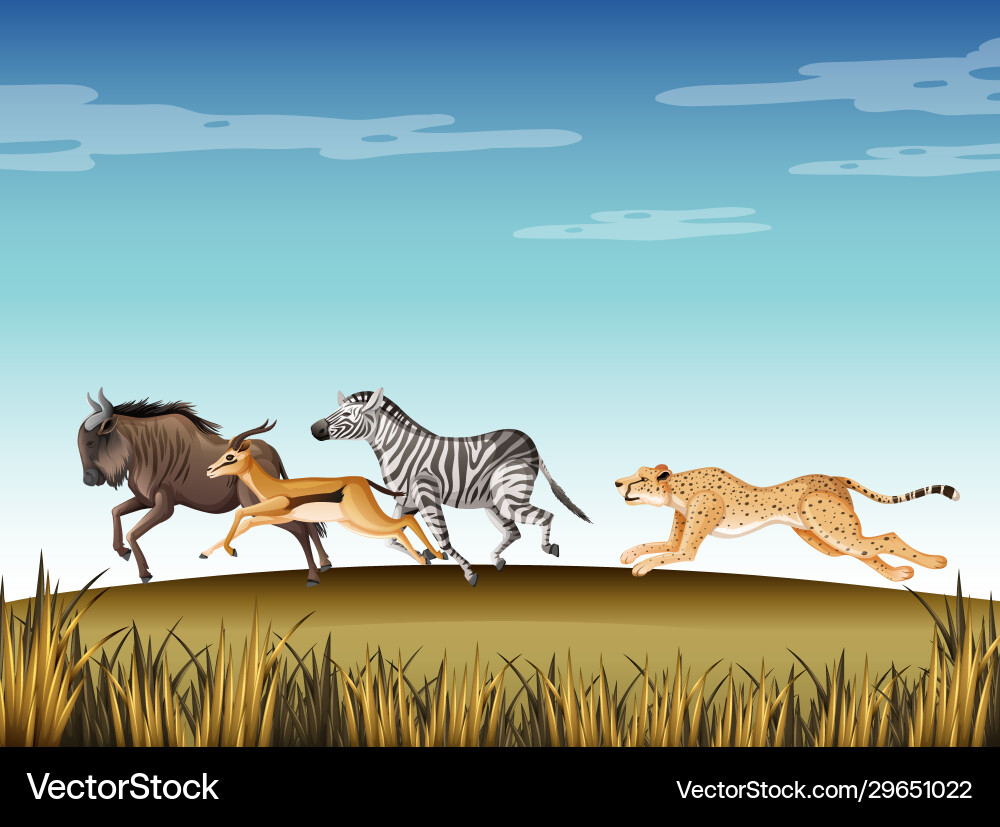 Scene with cheetah chasing after many animals in Vector Image