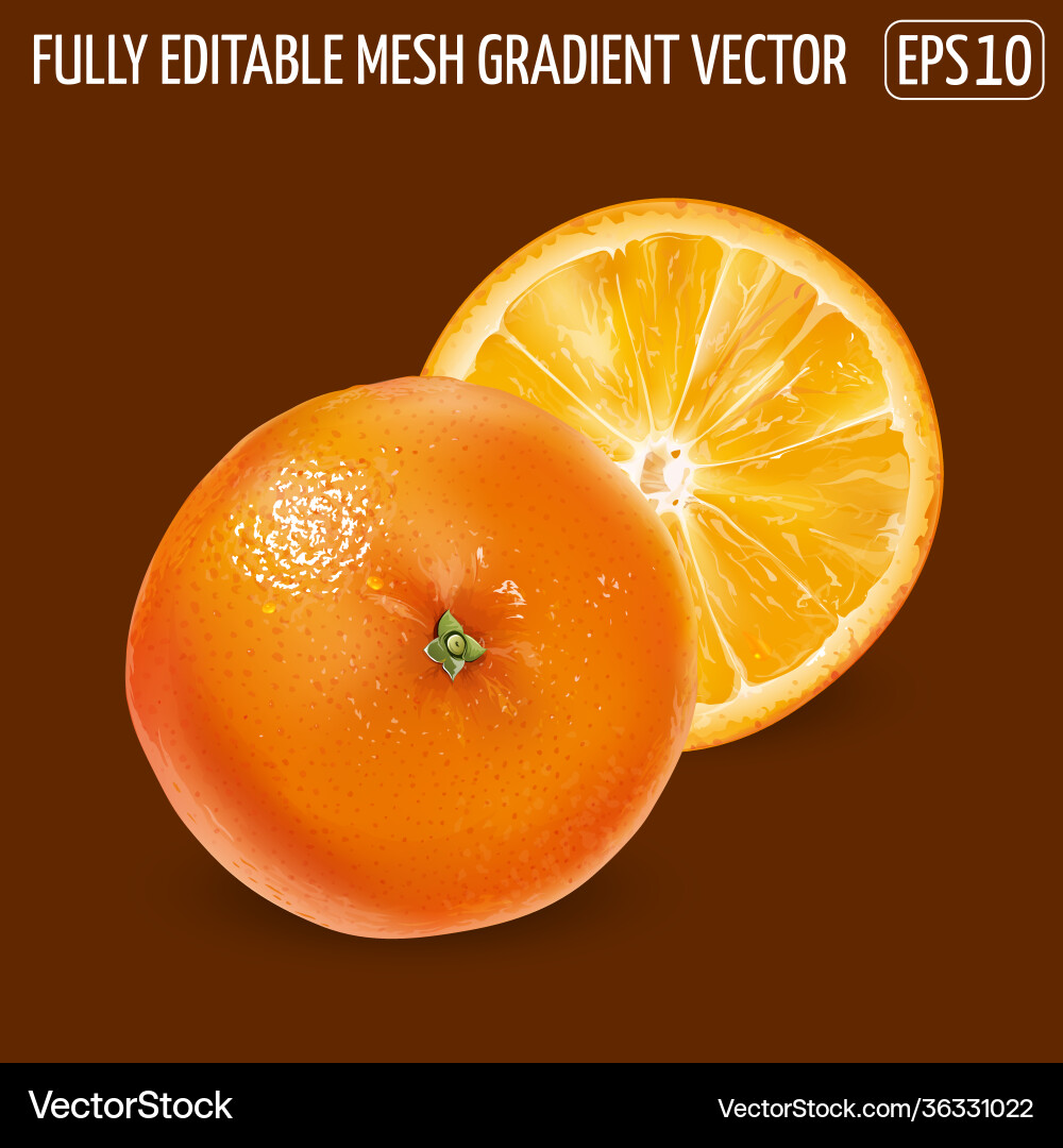 Whole orange with a round slice on brown Vector Image