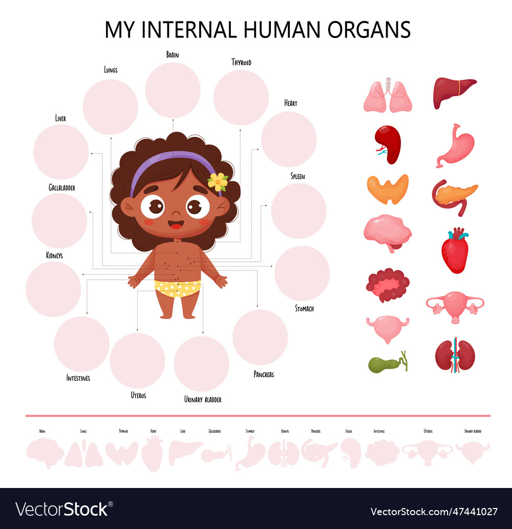 Anatomy human body infographics with cute black Vector Image