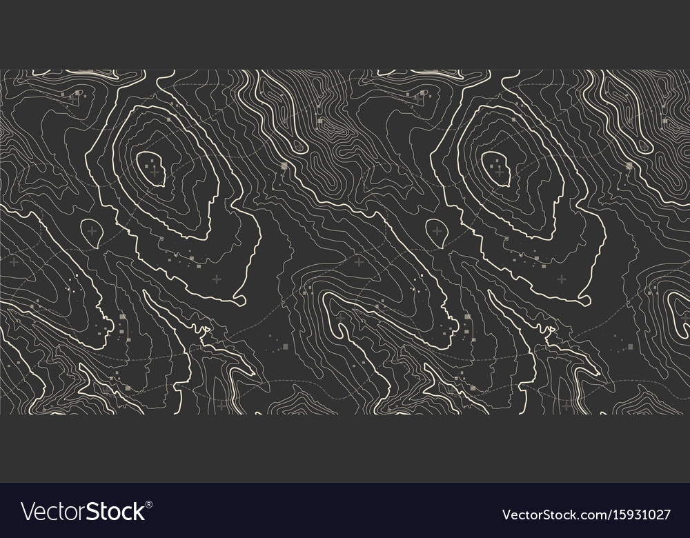 Seamless pattern topographic map background Vector Image