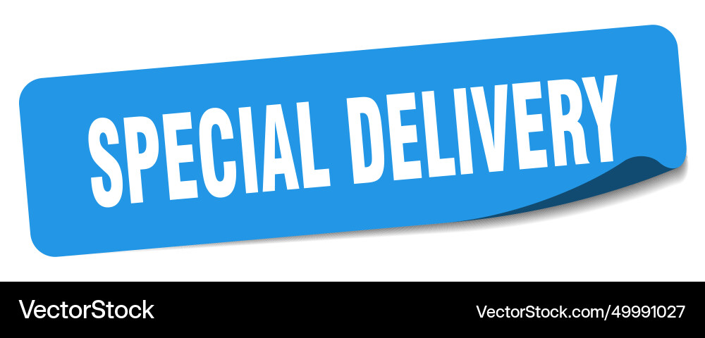 Special delivery sticker special delivery label Vector Image