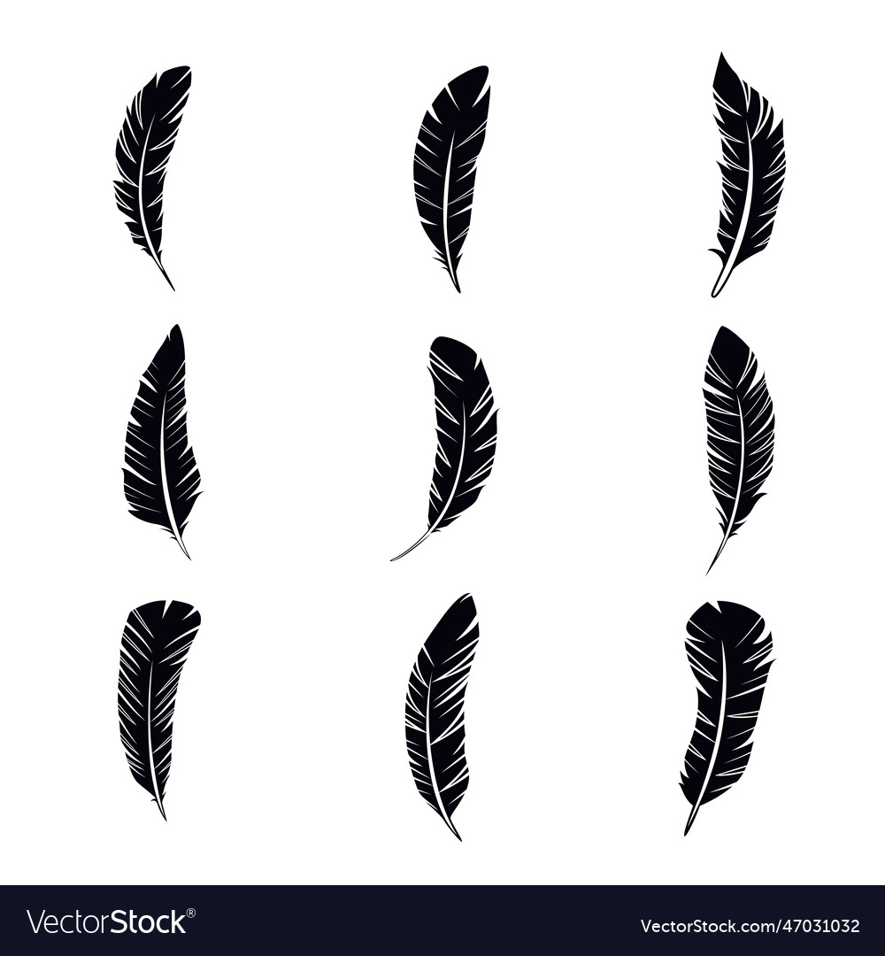 Feather icon set Royalty Free Vector Image - VectorStock
