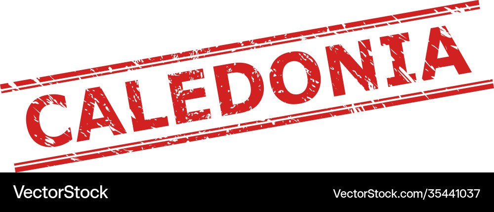 Caledonia seal with grunge surface and double Vector Image