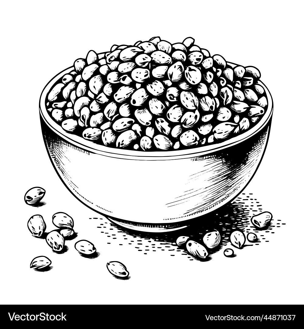 Hand drawn soybeans in a bowl Royalty Free Vector Image