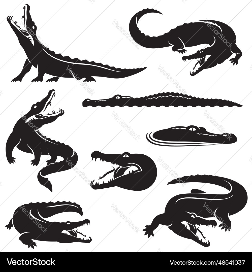 Icon set of crocodile Royalty Free Vector Image