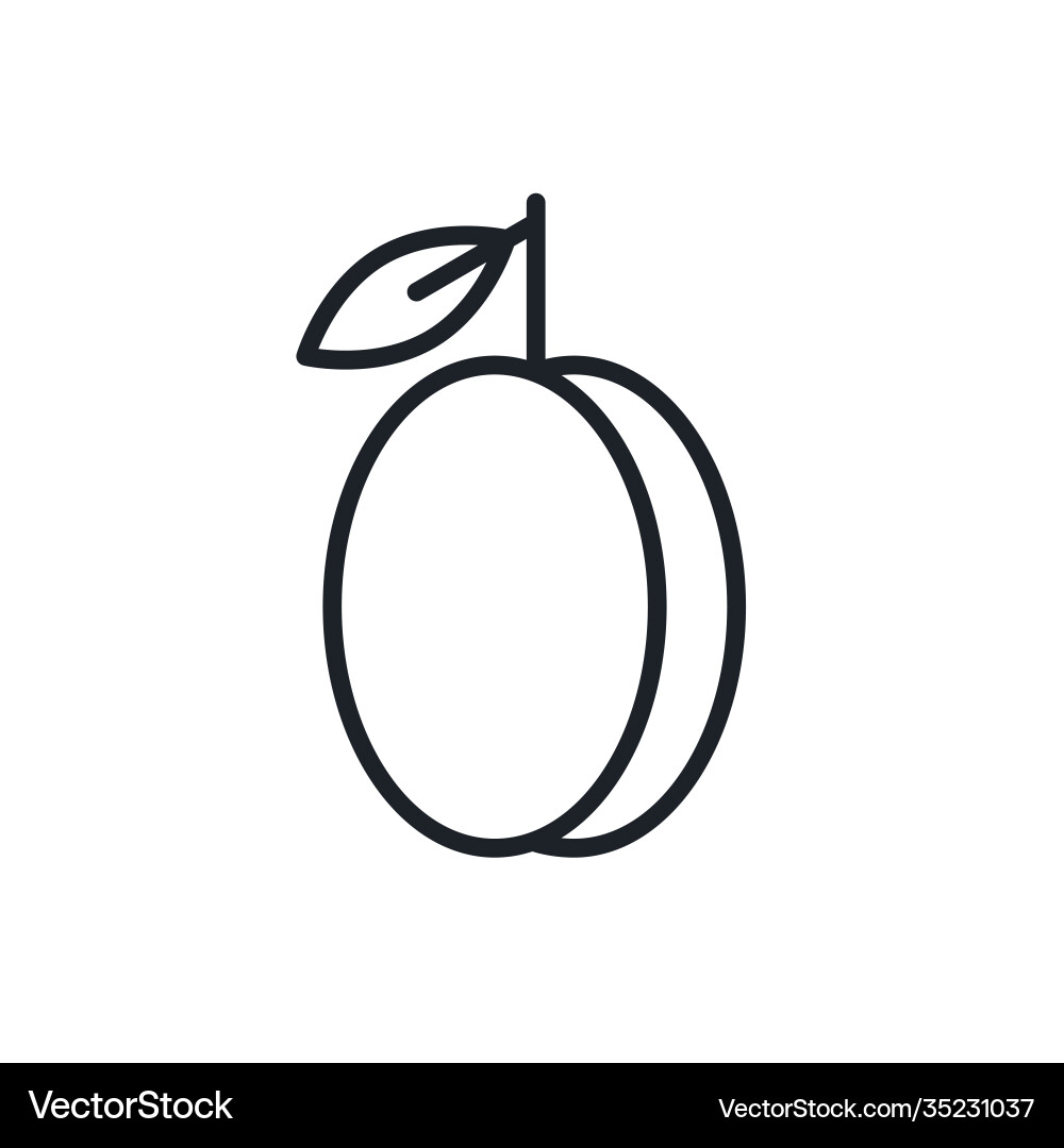 Plum or apricot icon linear icon contour Vector Image