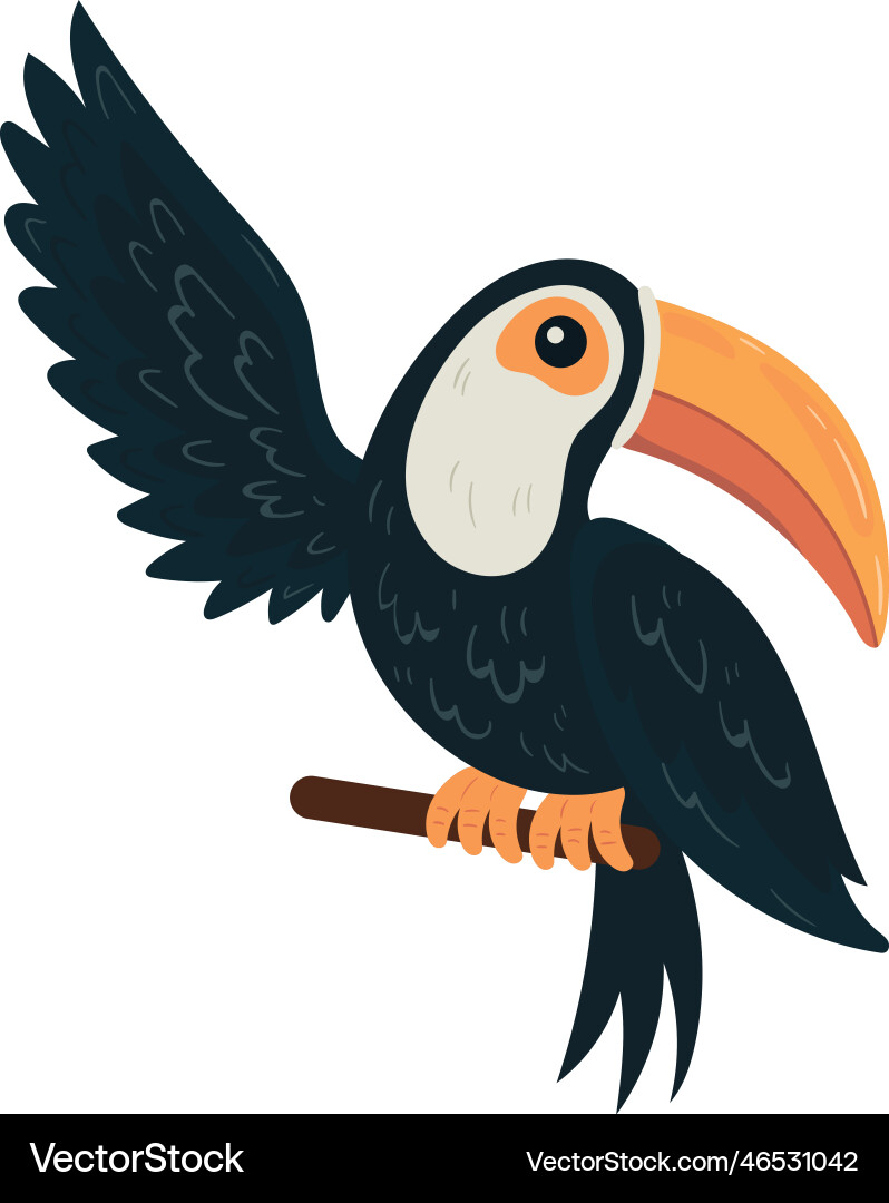 Toucan bird wild animal Royalty Free Vector Image