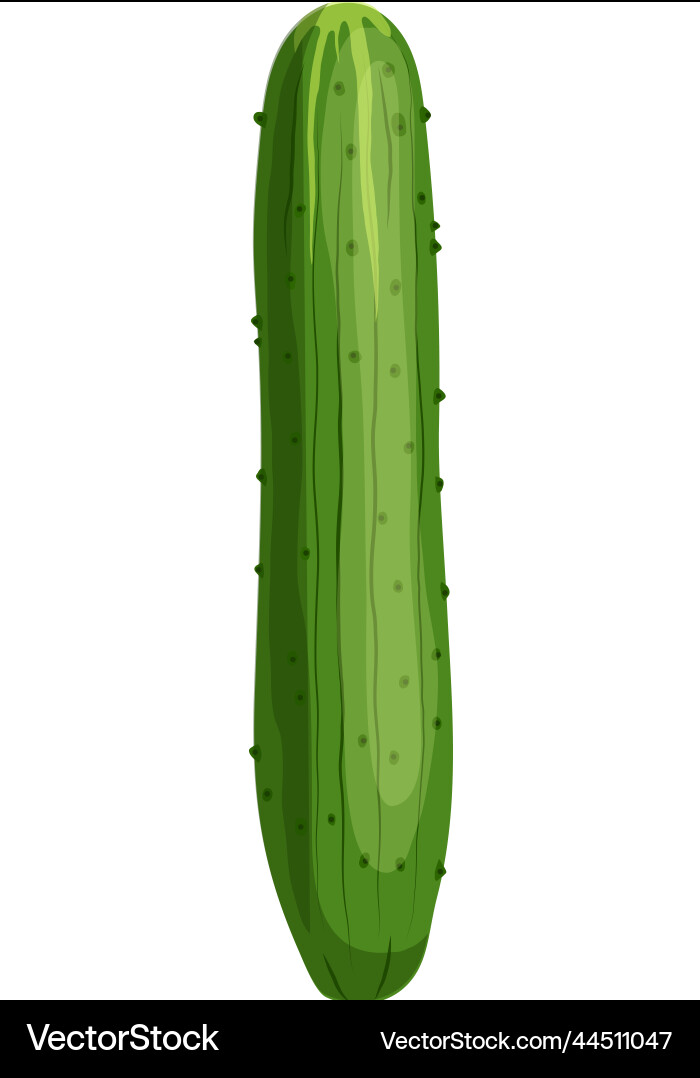 Cucumber food cartoon Royalty Free Vector Image