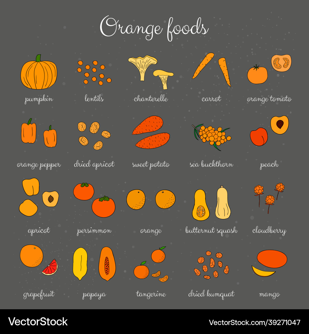 Hand drawn orange foods set Royalty Free Vector Image