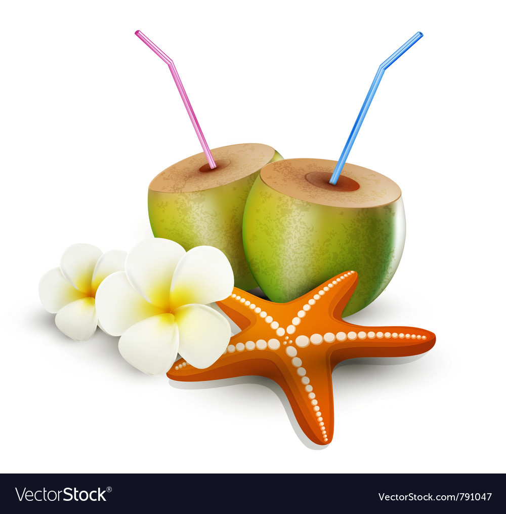 Tropical elements Royalty Free Vector Image - VectorStock