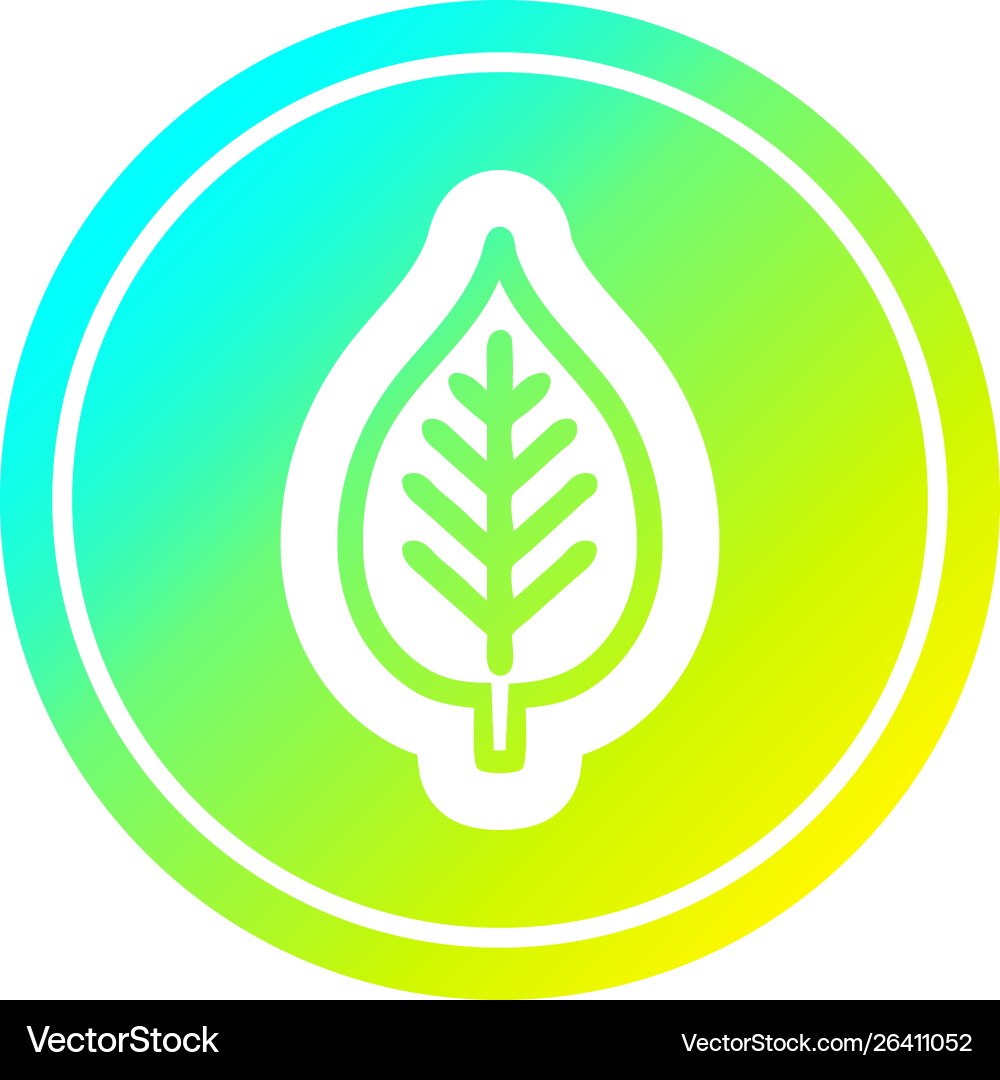 Natural leaf circular in cold gradient spectrum Vector Image