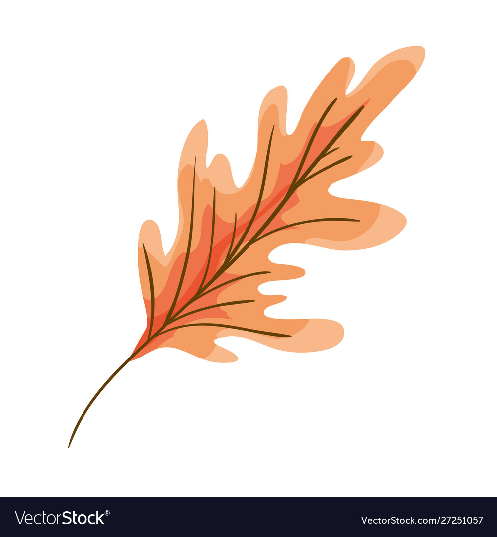 Autumn leaf plant seasonal icon Royalty Free Vector Image