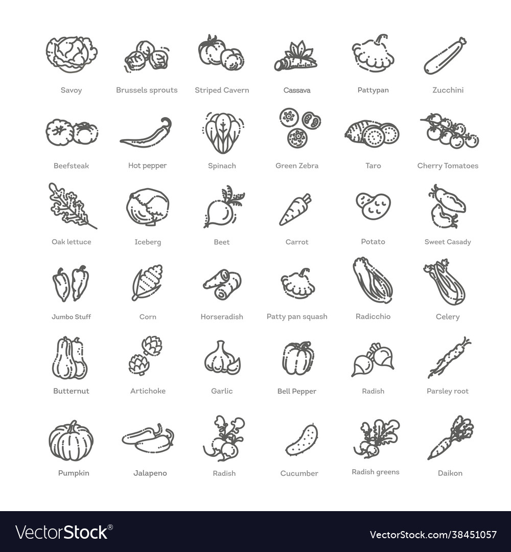 Vegetables set basic thin line icons Royalty Free Vector