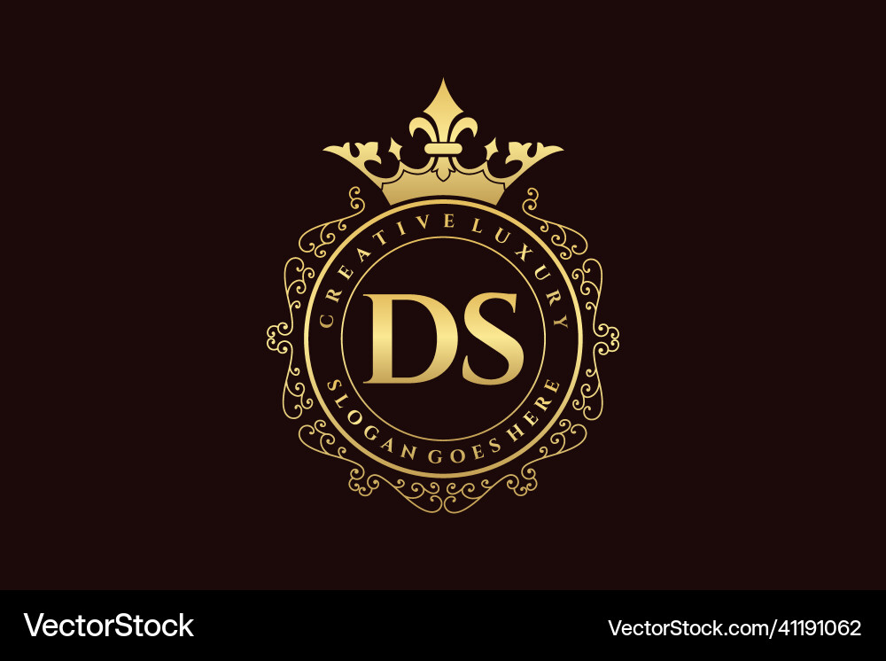 Ds initial letter luxury calligraphic feminine Vector Image