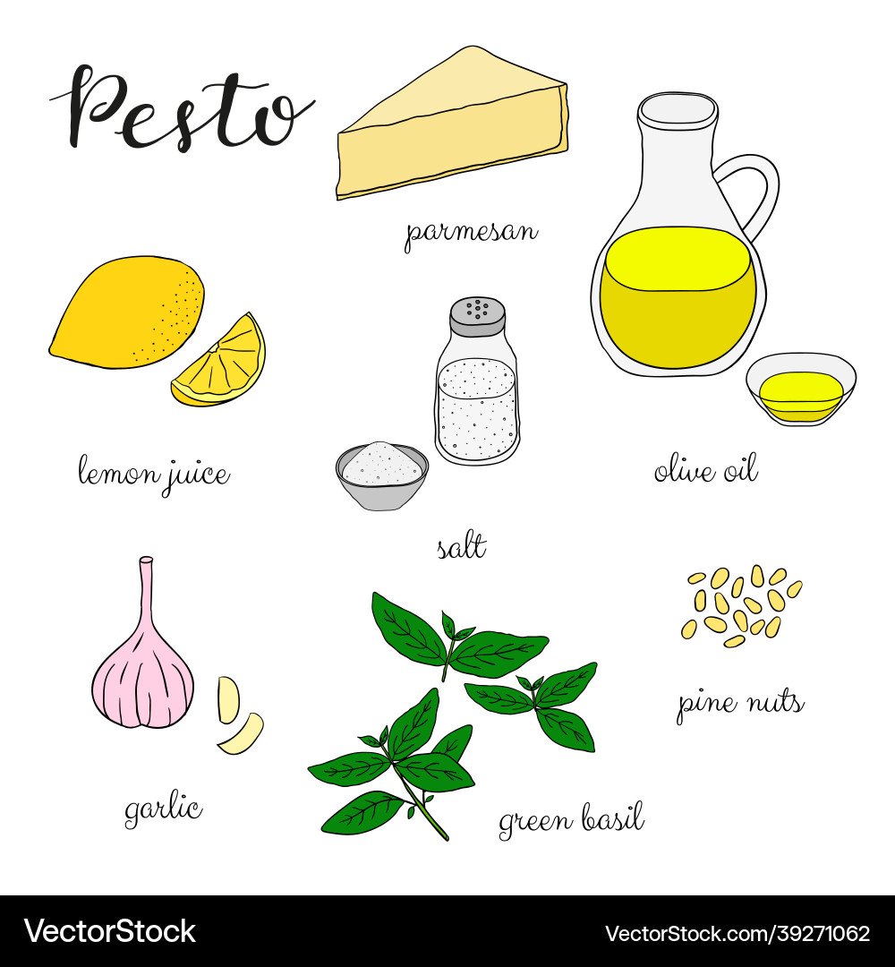 Pesto sauce ingredients on white background Vector Image