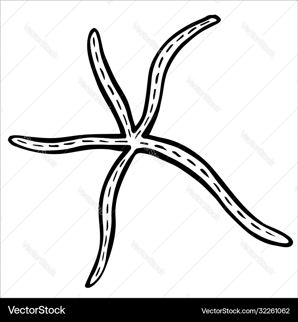 Sea star black line on white Royalty Free Vector Image