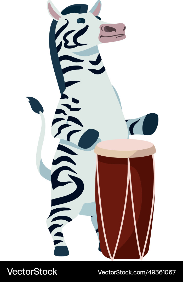 Animal playing instrument zebra with drum Vector Image