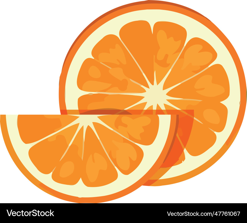 Orange citrus fruit slice healthy eating Vector Image