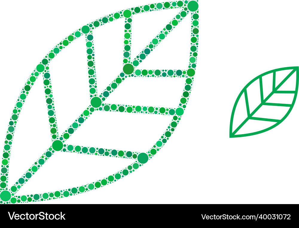 Contour leaf mosaic of dots Royalty Free Vector Image