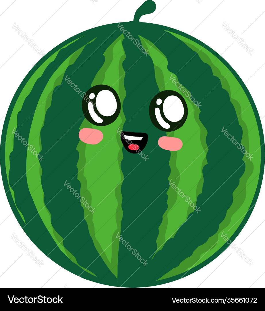 Cute little watermelon on white background Vector Image