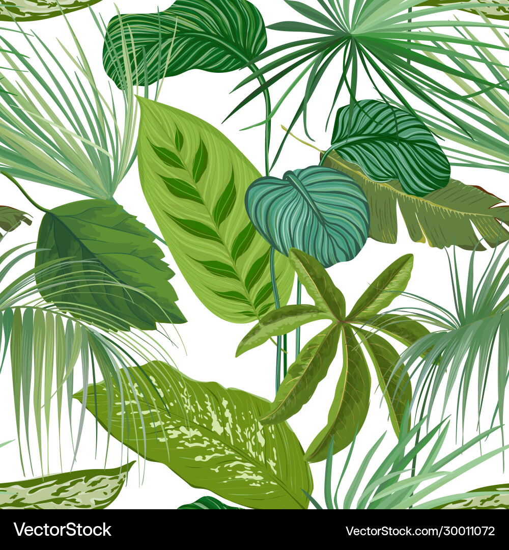 Green tropical leaves rainforest decorative Vector Image