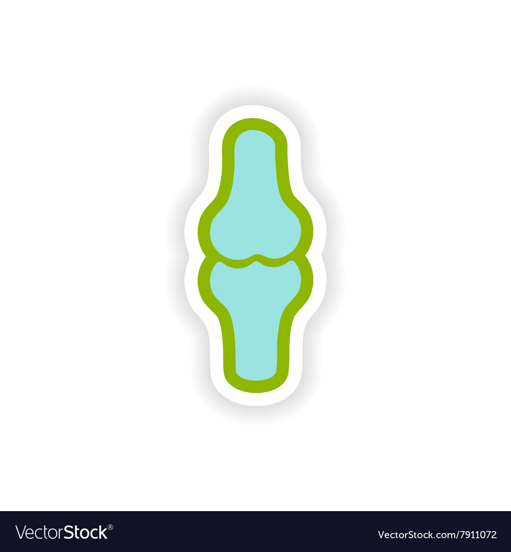 Paper sticker on white background human bones Vector Image