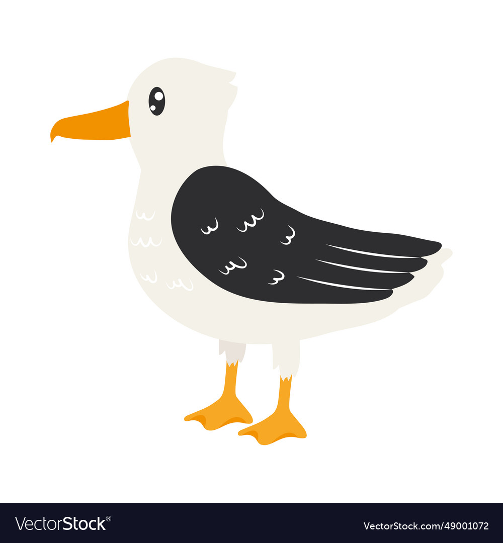 Seagull design Royalty Free Vector Image - VectorStock