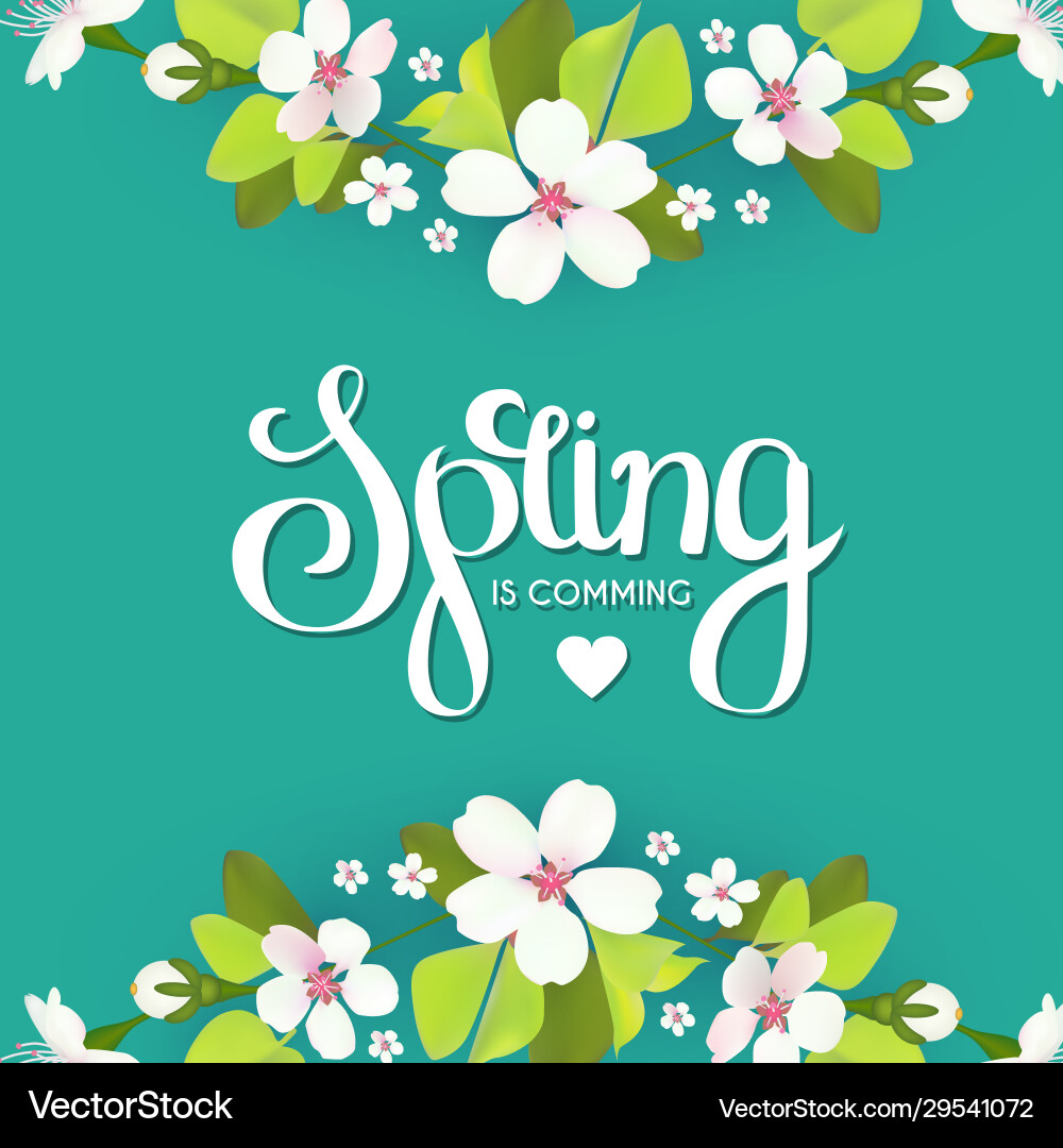 Spring background with flowers and lettering Vector Image