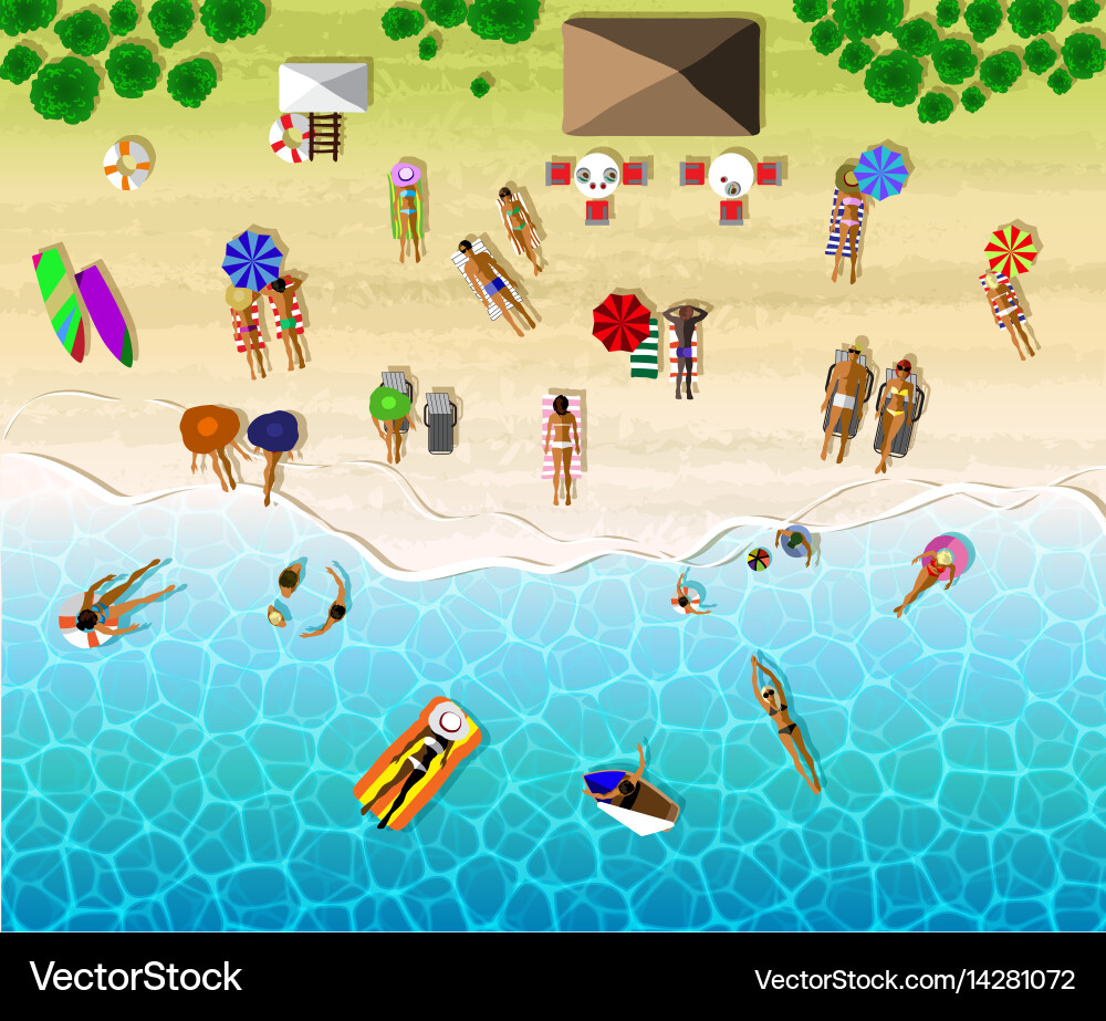 Top view of sunbathing people Royalty Free Vector Image