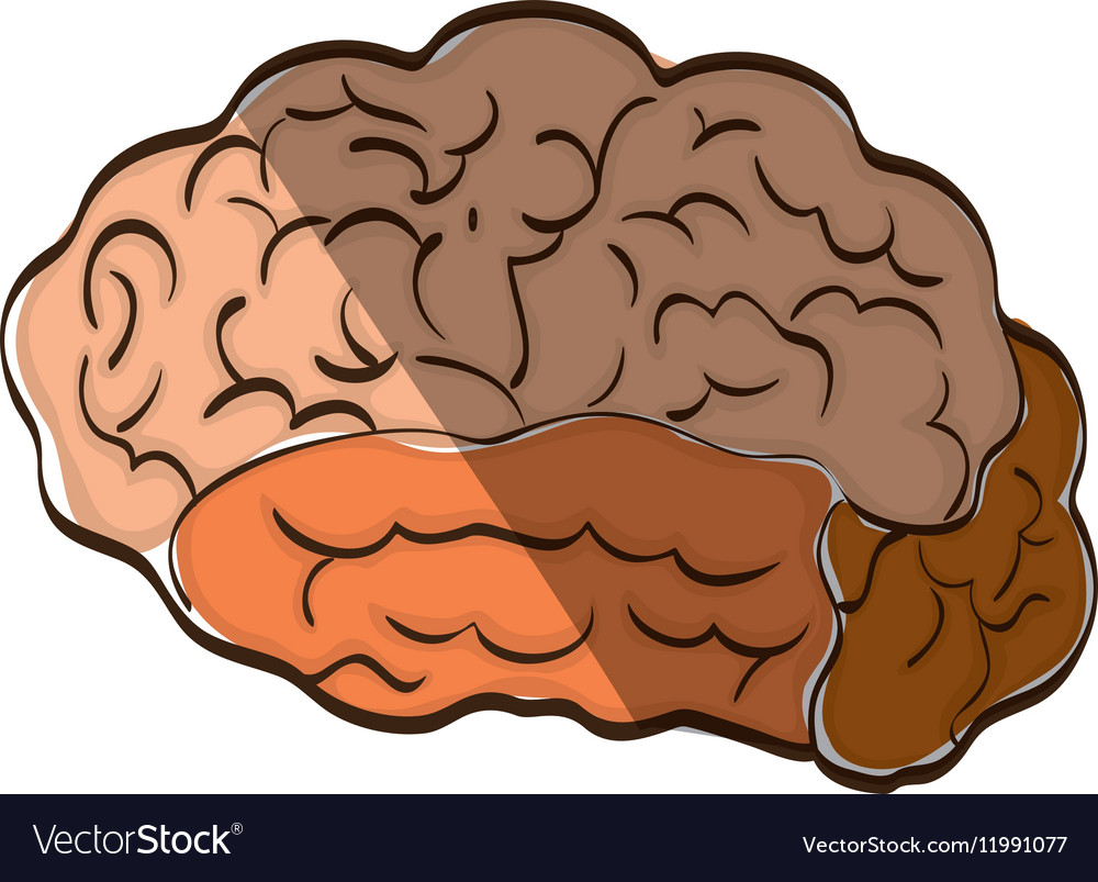 Human brain mind Royalty Free Vector Image - VectorStock