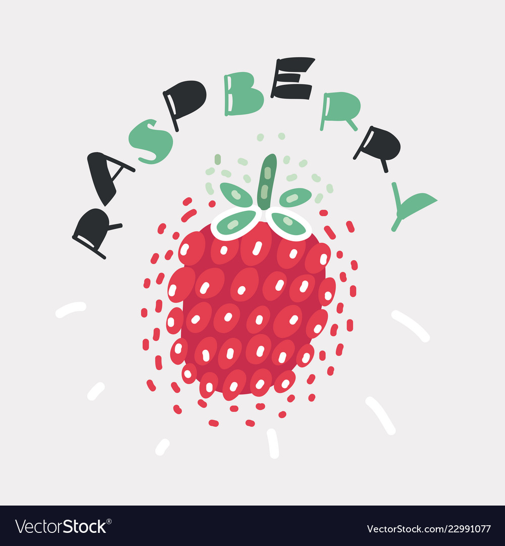 Raspberry on white background Royalty Free Vector Image