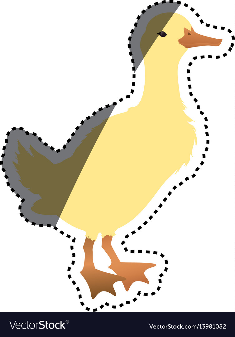 Duck farm animal Royalty Free Vector Image - VectorStock