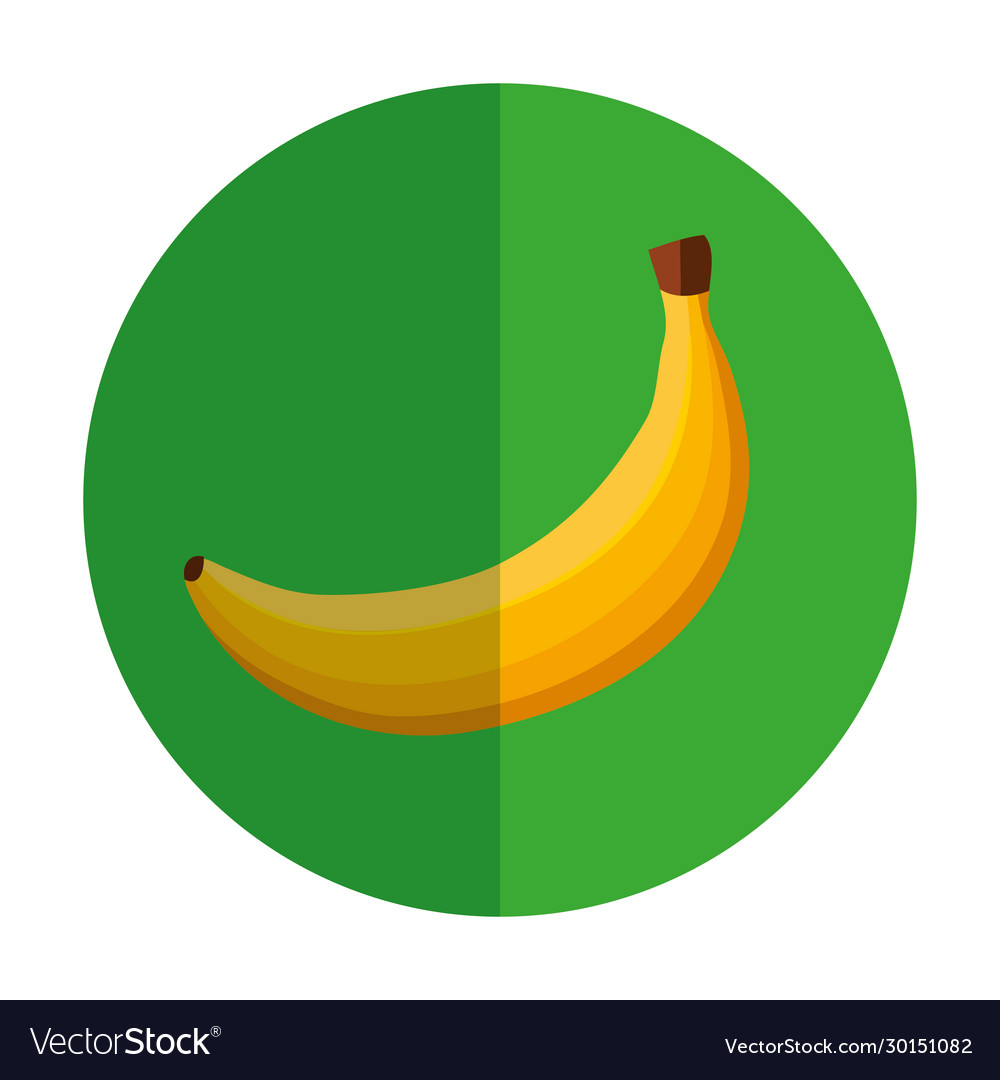 Fresh banana fruit in frame circular Royalty Free Vector