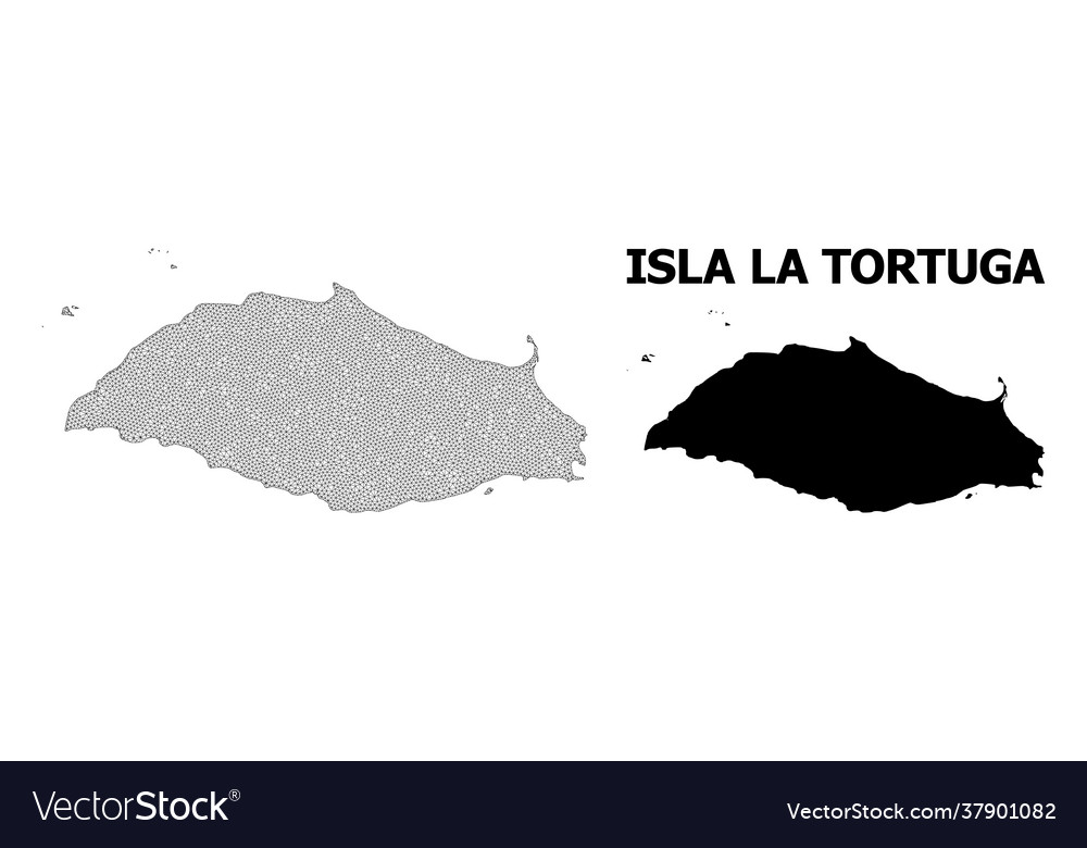 Polygonal Wire Frame Mesh High Detail Map Vector Image