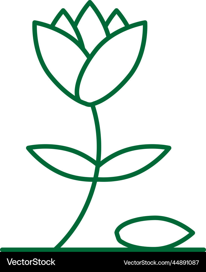 Flower plant icon logo design template isolated Vector Image