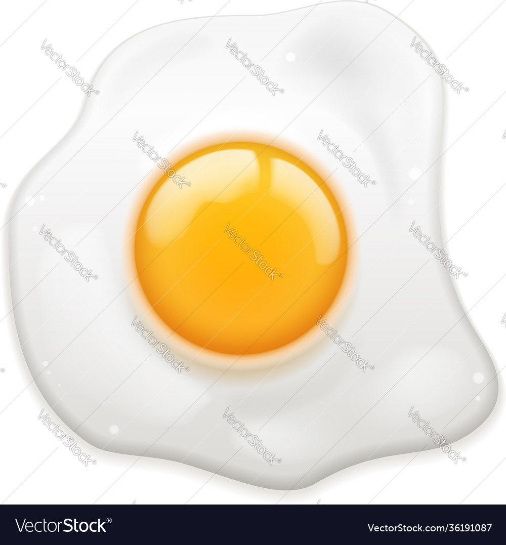 Fried egg Royalty Free Vector Image - VectorStock