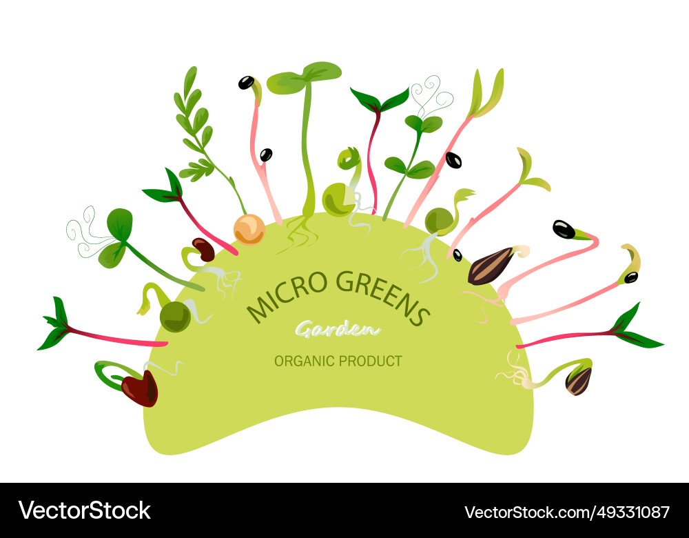 Micro greens organic product logo or frame green Vector Image