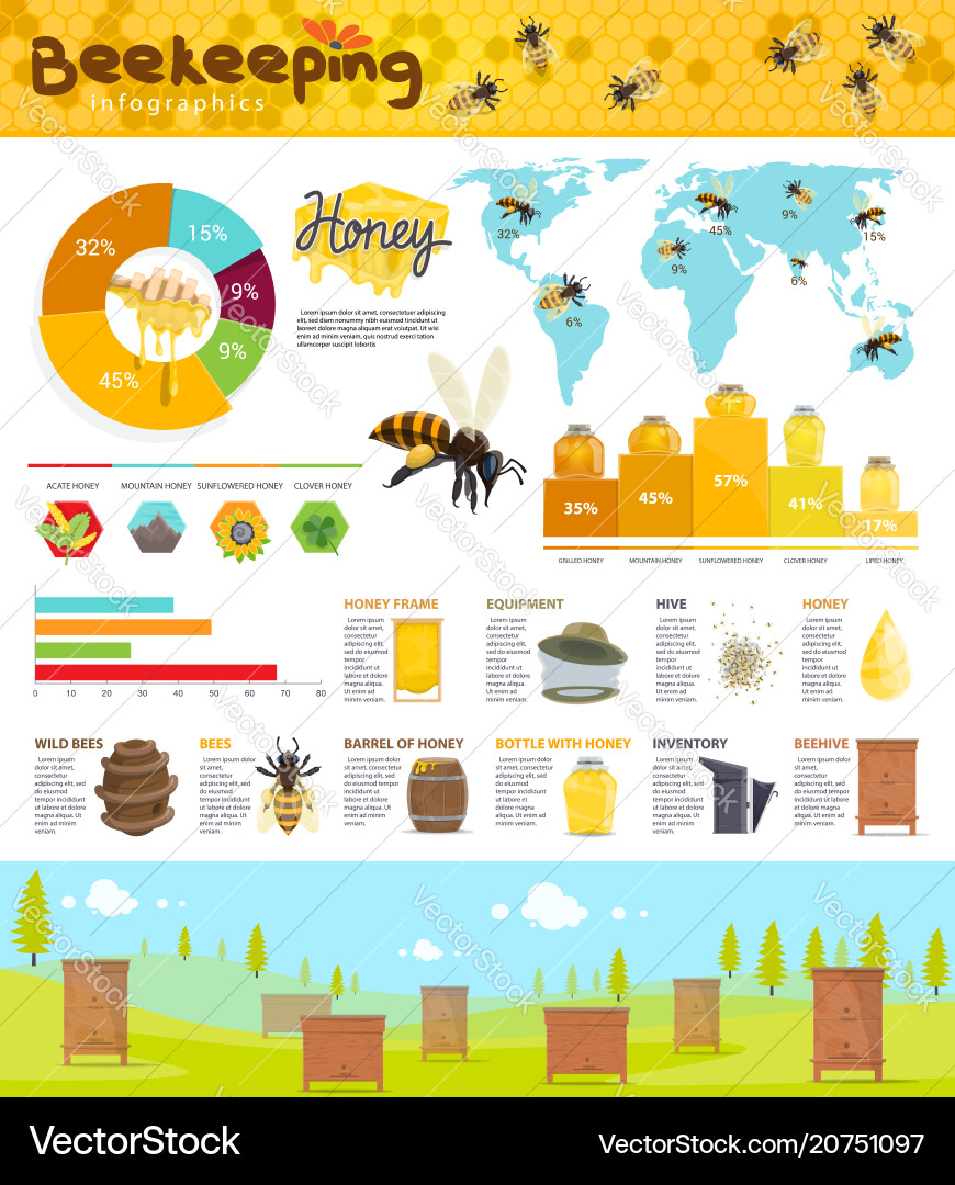 Beekeeping and honey production infographic Vector Image