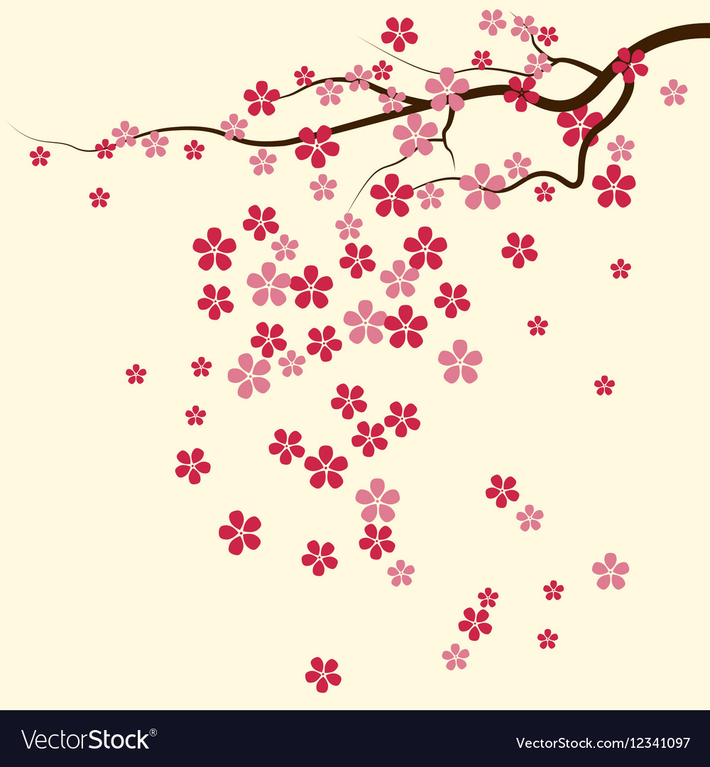 Cherry tree flowers pattern Royalty Free Vector Image