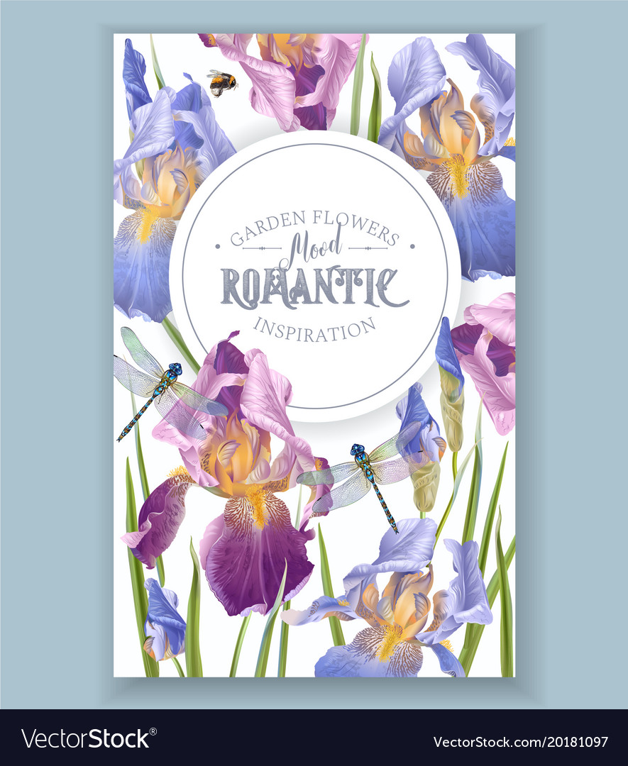 Iris vertical banner Royalty Free Vector Image
